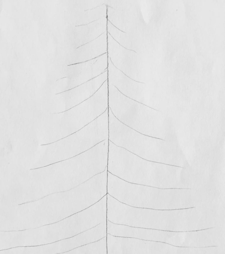 Karácsonyfa rajz lépésről lépésre | Karácsonyfa Világ