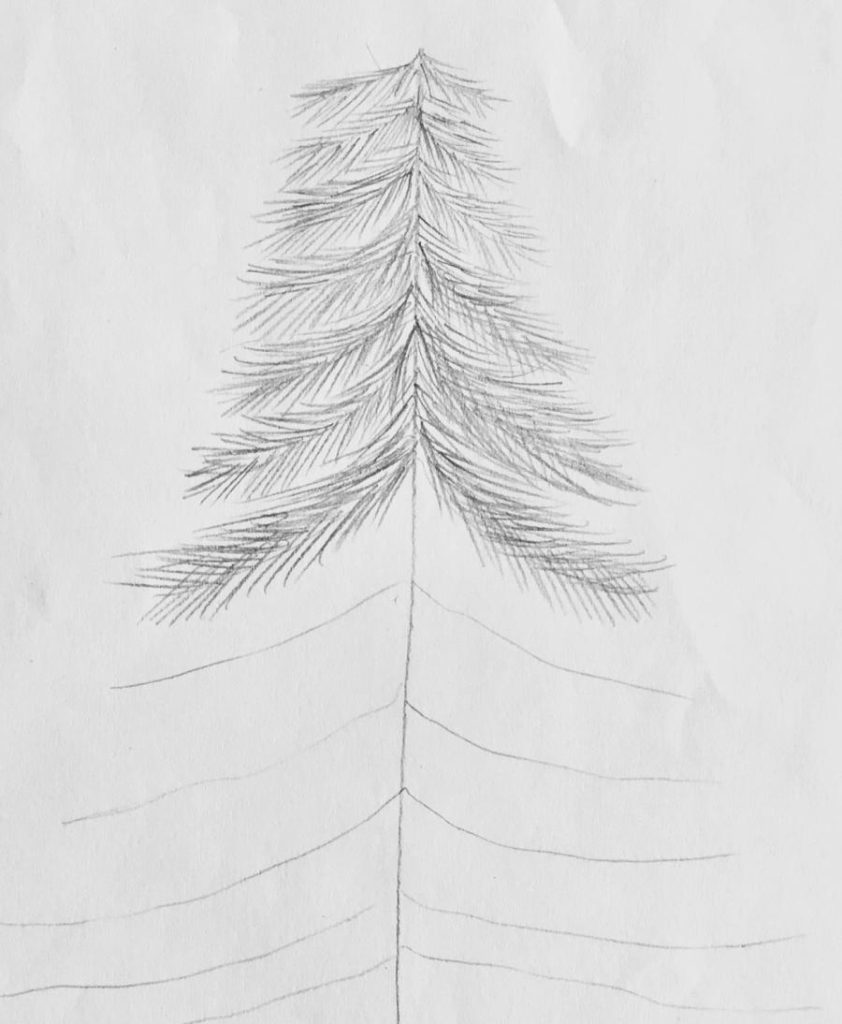 Karácsonyfa rajz lépésről lépésre | Karácsonyfa Világ